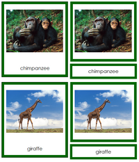 Africa Deluxe Continent Bundle - Montessori Continent Studies ...