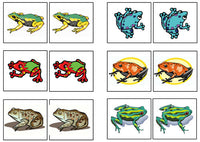 Frog Match-Up & Memory Game - Montessori Print Shop