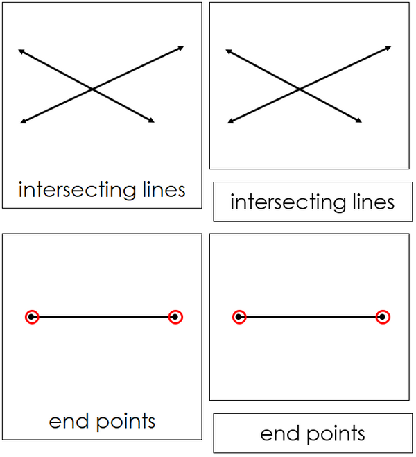Elementary Montessori Geometry Bundle - Montessori Print Shop